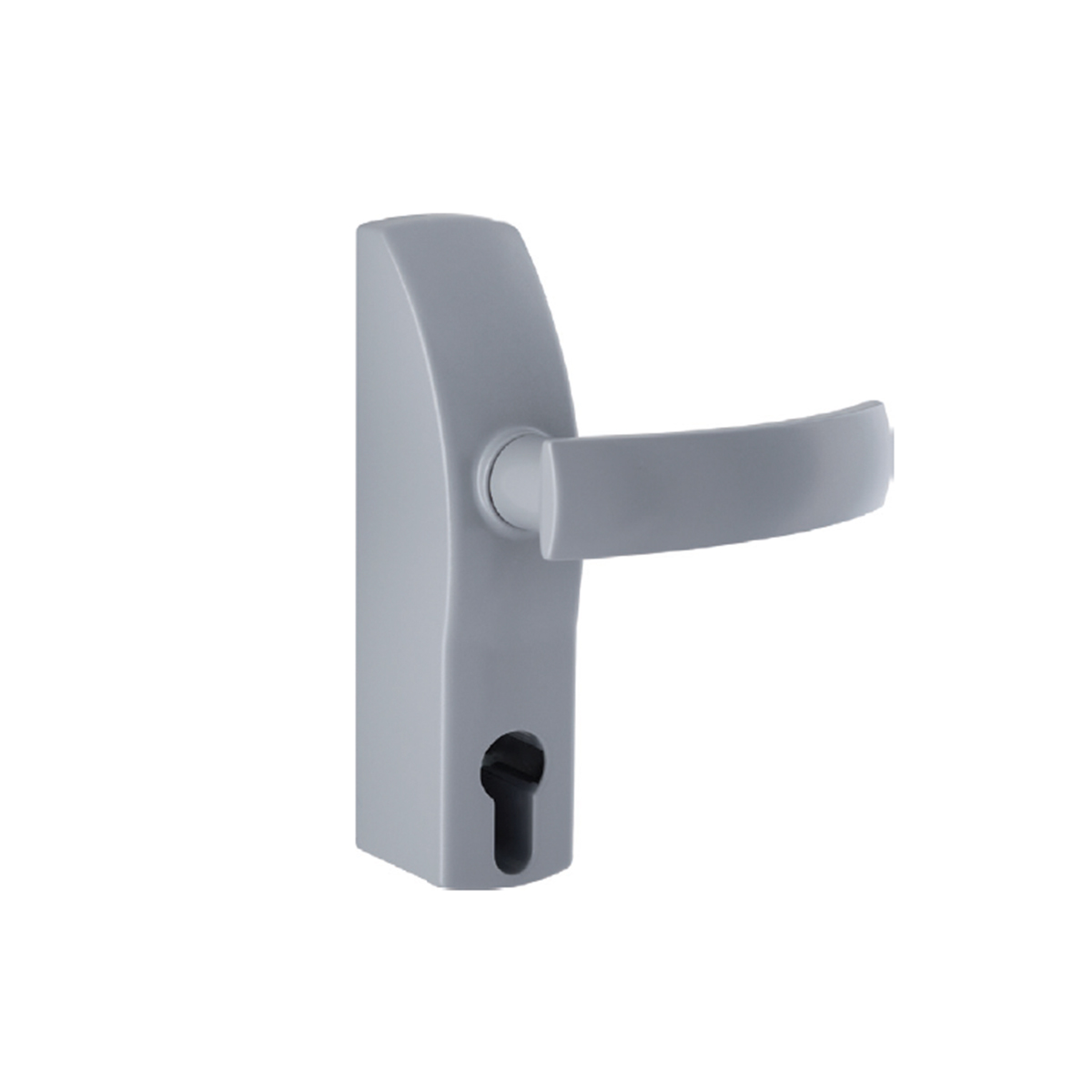 J-Series Outside Access Handle | ASSA ABLOY