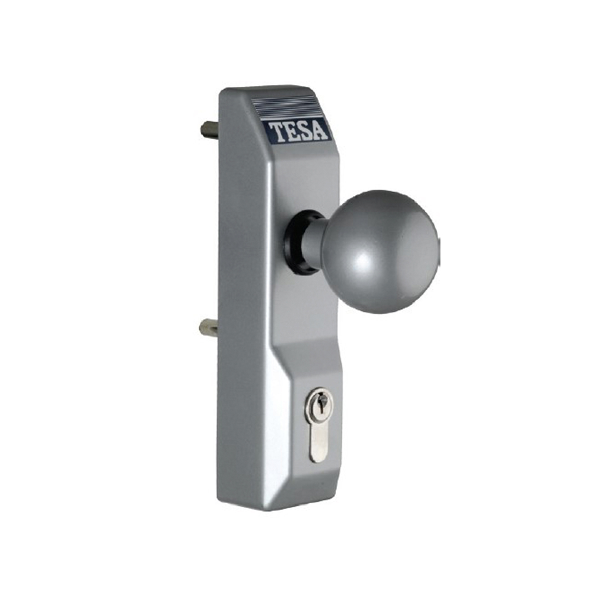 TESA Outside Access Devices | ASSA ABLOY
